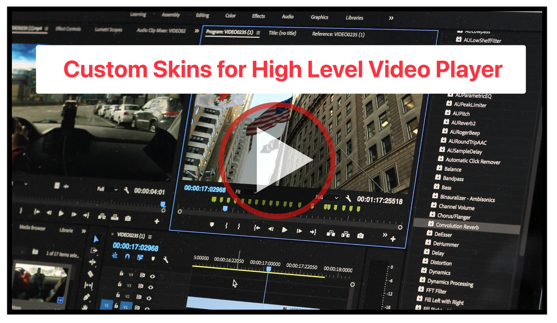 Custom Skins for High Level Video Player